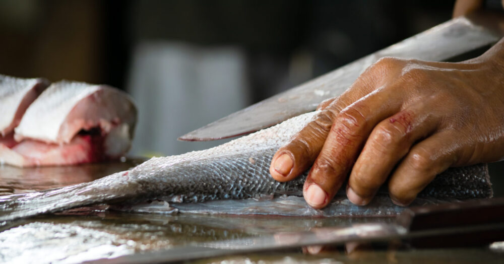 The Basics of the Fish Knives: How to Use Them Correctly - Food Sec