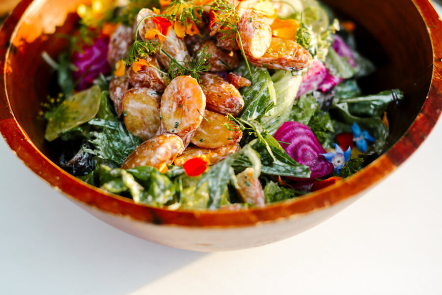Sustainability on the Menu: How Catering Companies Embrace Green ...